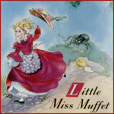 Spider Control - Products That Consumers Look For – Wet & Forget NZ